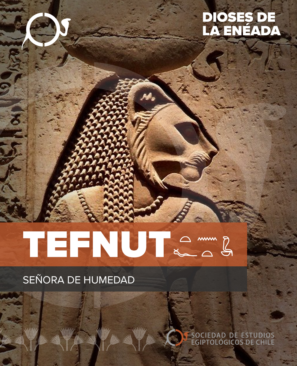 DIOSES DE LA ENÉADA – EGIPTOLOGIA.CL | Estudio del Antiguo Egipto en Chile